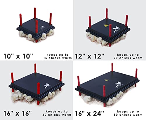 RentACoop Chick Brooder Heating Plate and Anti-Roost Cone Set - Brooder Heat Plate Warms Up to 20 Chicks - Chick Heater with 25 Adjustable Heights and 22 Watts - Safer Than Heat Lamps - 12" x 12"