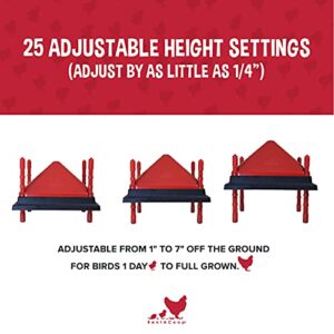 RentACoop Chick Brooder Heating Plate and Anti-Roost Cone Set - Brooder Heat Plate Warms Up to 20 Chicks - Chick Heater with 25 Adjustable Heights and 22 Watts - Safer Than Heat Lamps - 12" x 12"