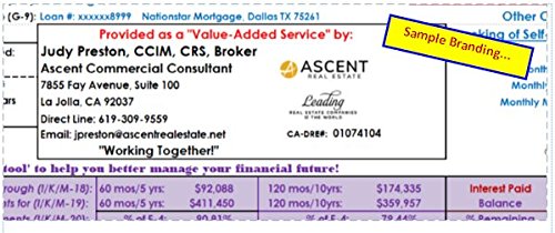 Mortgage Minimizer/Equity Builder: Professional User Version