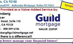 Mortgage Minimizer/Equity Builder: Professional User Version