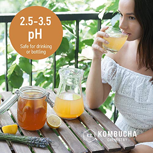 pH Test Strips for Kombucha Brewing 0-6 (0.5 Intervals) 100pc Kit