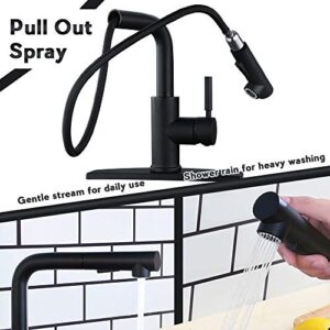 Peppermint Matte Black Kitchen Sink Faucet with Pull Down Sprayer Single Lever Black Kitchen Faucet with Pull Out Spray Low Profile Faucet for Kitchen Sink