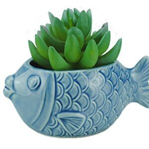 VanEnjoy 5" Ceramic Succulent Pot, Cute Ocean Blue Seashell Series, Conch Shaped Cactus Pot Planter, Flower Pot, Pottery Bonsai Pot (Seashell M)