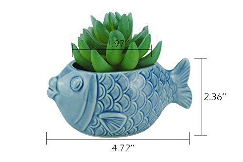 VanEnjoy 5" Ceramic Succulent Pot, Cute Ocean Blue Seashell Series, Conch Shaped Cactus Pot Planter, Flower Pot, Pottery Bonsai Pot (Seashell M)