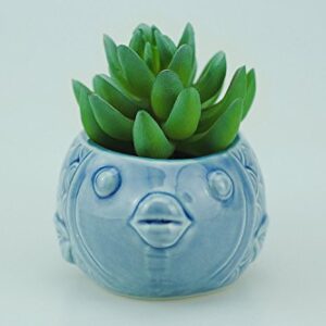 VanEnjoy 5" Ceramic Succulent Pot, Cute Ocean Blue Seashell Series, Conch Shaped Cactus Pot Planter, Flower Pot, Pottery Bonsai Pot (Seashell M)