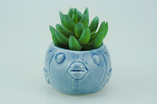 VanEnjoy 5" Ceramic Succulent Pot, Cute Ocean Blue Seashell Series, Conch Shaped Cactus Pot Planter, Flower Pot, Pottery Bonsai Pot (Seashell M)