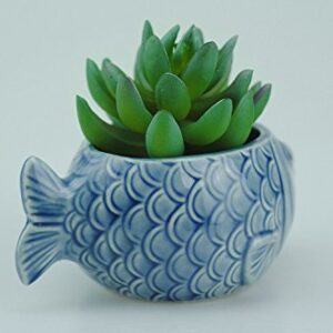 VanEnjoy 5" Ceramic Succulent Pot, Cute Ocean Blue Seashell Series, Conch Shaped Cactus Pot Planter, Flower Pot, Pottery Bonsai Pot (Seashell M)