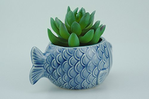 VanEnjoy 5" Ceramic Succulent Pot, Cute Ocean Blue Seashell Series, Conch Shaped Cactus Pot Planter, Flower Pot, Pottery Bonsai Pot (Seashell M)