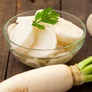 Outsidepride Daikon Radish AKA Chinese, Japanese, or Oriental Radish Cover Crop Seed - 5 LBS