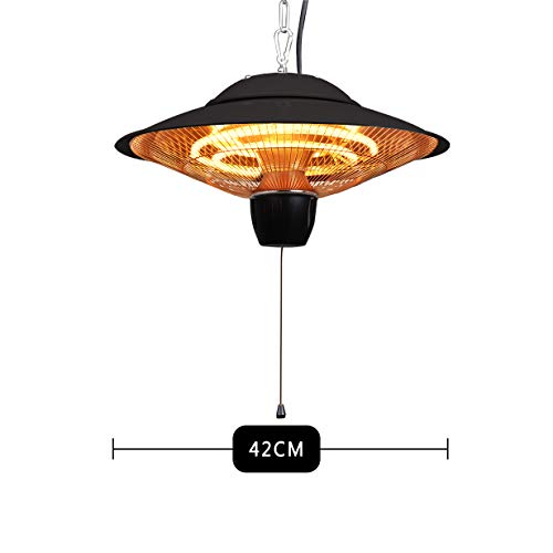 DONYER POWER 1500W Outdoor/Indoor Electric Patio Heater, Ceiling Mounted, Iron