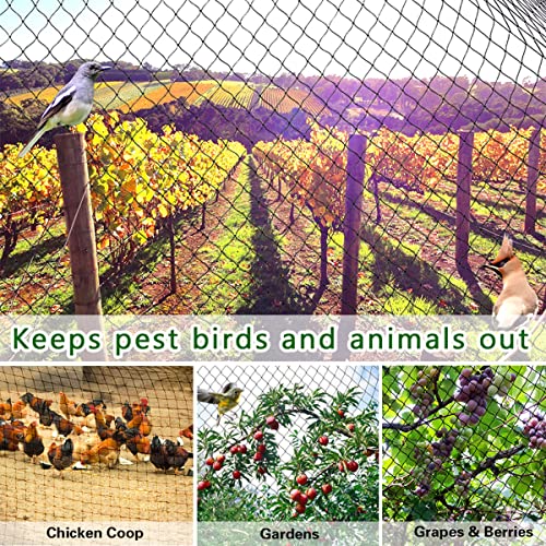 OGORI 25' x 50' Bird Netting Heavy Duty Nylon 3/4" Mesh Garden Netting Protect Fruit Trees, Plants and Vegetables