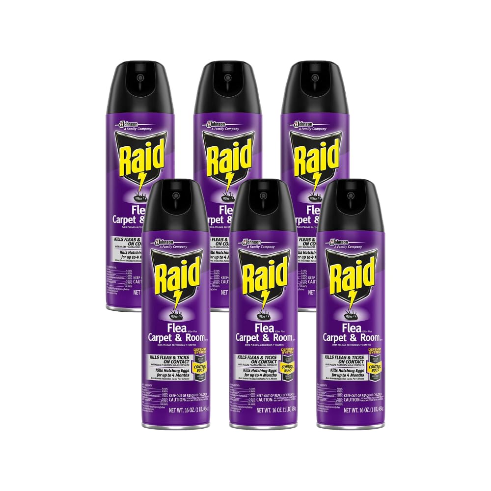 Raid Flea Killer Carpet and Room Spray (16 Ounce (Pack of 6))