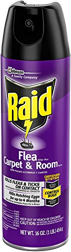 Raid Flea Killer Carpet and Room Spray 16 Ounce (Pack of 4)