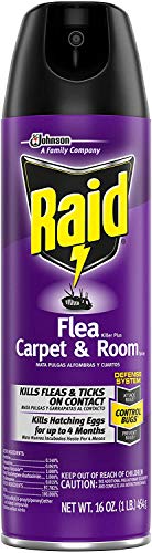 Raid Flea Killer Carpet and Room Spray 16 Ounce (Pack of 4)