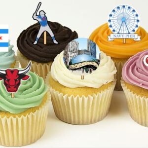 12 Handmade Chicago City Theme Party Cupcake Toppers Picks