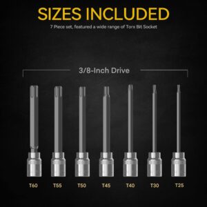 Renekton Torx Star Bit Socket Set,1/2" 3/8" 1/4" Drive, T8 - T70, S2 and Cr-V Steel,13 Pieces