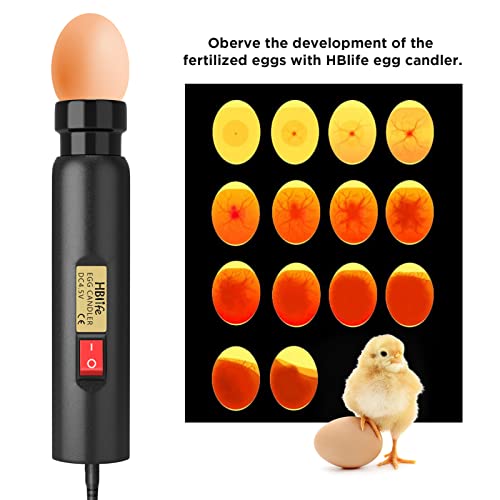 HBlife Bright Cool LED Light Egg Candler Tester for Watching Eggs Development, with 2 Soft Rubber Attachments for Eggs, Powered by Power Cord Only