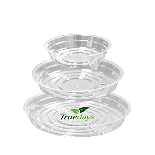 TRUEDAYS 15 Pack(6 inch/8inch/10inch) Clear Plant Saucers Flower Pot Tray Excellent for Indoor & Outdoor Plants