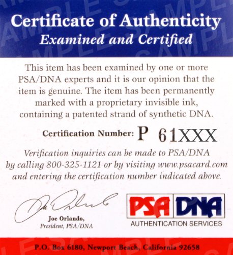 Muhammad Ali Signed Cut PSA/DNA COA Boxing Autograph Fought Sonny Liston 1964 65 - Boxing Cut Signatures