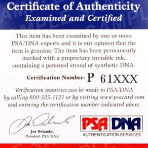 Iron Sheik & Nikolai Volkoff Signed WWE Tag Team Toy Belt PSA/DNA COA Autograph - Autographed Wrestling Miscellaneous Items