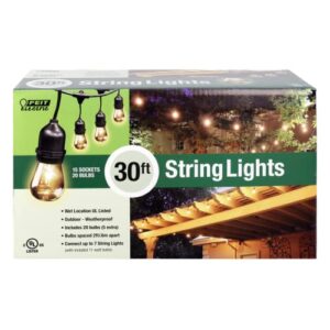 Feit Electric 30ft Outdoor String Lights 15 Sockets, Dimmable, Heavy-Duty Weather Resistant Decorative Outdoor Incandescent String Lights, 20 S14 Incandescent Bulbs Included, Amber Glow