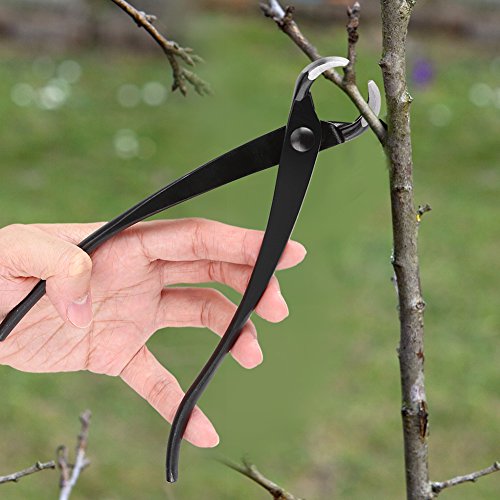 GLOGLOW 204mm 8inch Knob Branch Cutter, Garden Fruit Tree Hollow Concave Cutter Tool with Round Gardening Bonsai Tools Scissors