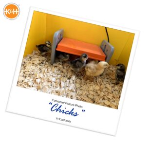 K&H Pet Products Thermo Chicken Brooder, Brooder Heater for Chicks, Chick Brooder Plate, Safe Alternative to Heat Lamp for Chickens - Gray/Orange Small 8 X 13.5 X 8 Inches