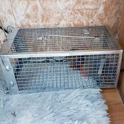 SZHLUX Rat Trap,Mouse Traps Work for Indoor and Outdoor,Small Rodent Animal-Mice Voles Hamsters Cage,Catch and Release(SZ-SL2614Z)