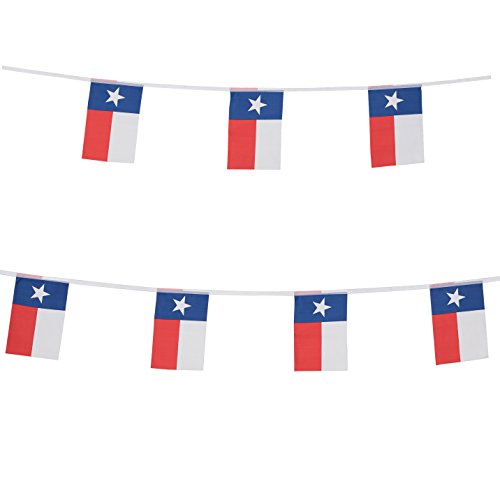 TSMD Texas State Flag Banner,100 Feet Small Mini Texas TX Lone Star Pennant Banner Flags String,Party Decorations Supplies For Bar,School Sports Event,International Festival Celebration