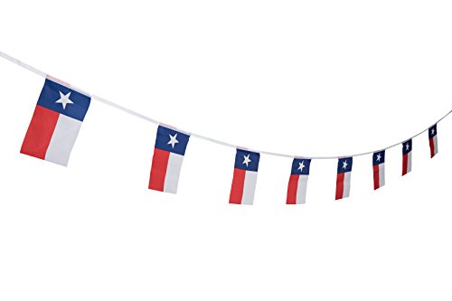 TSMD Texas State Flag Banner,100 Feet Small Mini Texas TX Lone Star Pennant Banner Flags String,Party Decorations Supplies For Bar,School Sports Event,International Festival Celebration