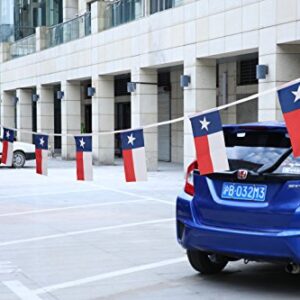 TSMD Texas State Flag Banner,100 Feet Small Mini Texas TX Lone Star Pennant Banner Flags String,Party Decorations Supplies For Bar,School Sports Event,International Festival Celebration