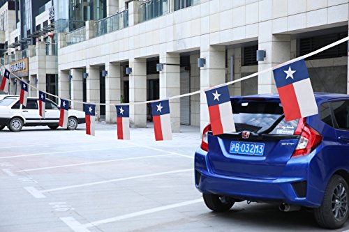 TSMD Texas State Flag Banner,100 Feet Small Mini Texas TX Lone Star Pennant Banner Flags String,Party Decorations Supplies For Bar,School Sports Event,International Festival Celebration