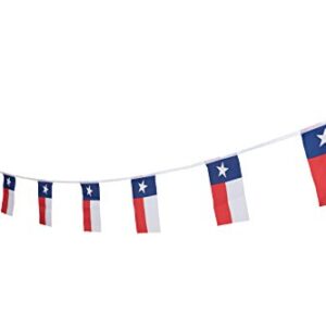 TSMD Texas State Flag Banner,100 Feet Small Mini Texas TX Lone Star Pennant Banner Flags String,Party Decorations Supplies For Bar,School Sports Event,International Festival Celebration