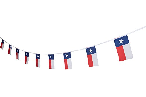 TSMD Texas State Flag Banner,100 Feet Small Mini Texas TX Lone Star Pennant Banner Flags String,Party Decorations Supplies For Bar,School Sports Event,International Festival Celebration