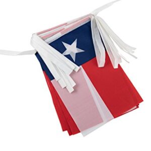 TSMD Texas State Flag Banner,100 Feet Small Mini Texas TX Lone Star Pennant Banner Flags String,Party Decorations Supplies For Bar,School Sports Event,International Festival Celebration