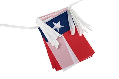 TSMD Texas State Flag Banner,100 Feet Small Mini Texas TX Lone Star Pennant Banner Flags String,Party Decorations Supplies For Bar,School Sports Event,International Festival Celebration