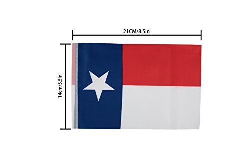 TSMD Texas State Flag Banner,100 Feet Small Mini Texas TX Lone Star Pennant Banner Flags String,Party Decorations Supplies For Bar,School Sports Event,International Festival Celebration