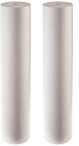 Pentek DGD-2501-20 Spun Polypropylene Filter Cartridge, 20" x 4-1/2 (2-Pack)