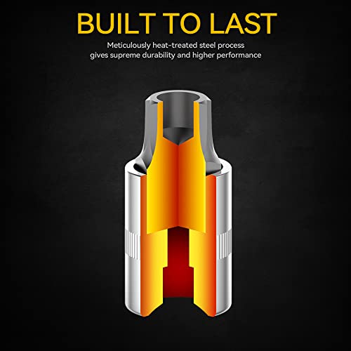 Renekton Triple Square Spline Bit Socket Set XZN,Tamper Proof,1/2" 3/8" 1/4" Drive,M4 - M18,S2 Steel,10 Pieces