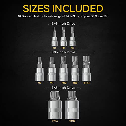 Renekton Triple Square Spline Bit Socket Set XZN,Tamper Proof,1/2" 3/8" 1/4" Drive,M4 - M18,S2 Steel,10 Pieces