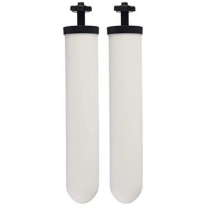 doulton w9121715 supersterasyl undersink ceramic candle filter cartridge 2 pack