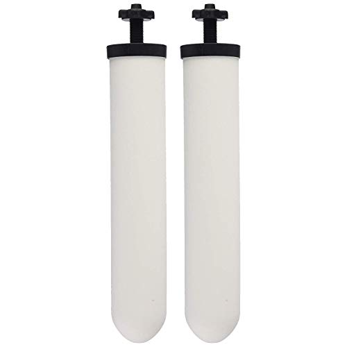 Doulton W9121715 Supersterasyl Undersink Ceramic Candle Filter Cartridge 2 PACK