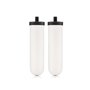 doulton w9121200/british berkefeld w9121207 gravity supersterasyl undersink ceramic candle filter (2 pack)