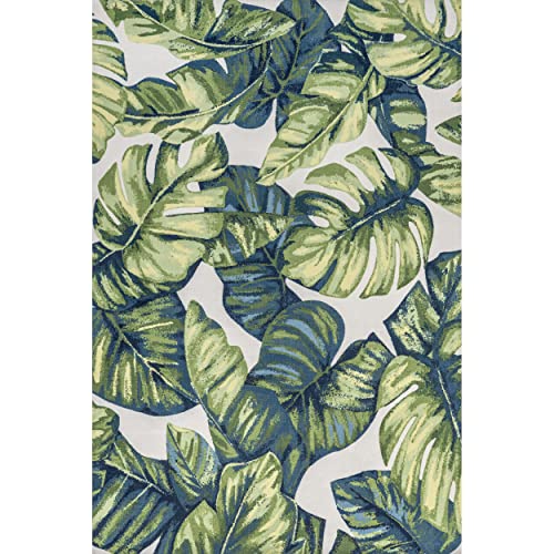 nuLOOM Lisa Floral Indoor/Outdoor Area Rug, 5x8, Multi