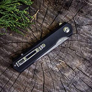 Firebird GANZO FH11 Pocket Folding Knife D2 Steel Flip Blade G10 Anti-slip Handle with Clip Hunting Gear Fishing Camping Outdoor Folder EDC Pocket Knife (Black)