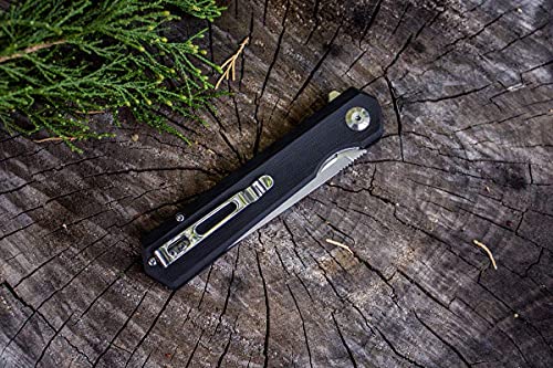 Firebird GANZO FH11 Pocket Folding Knife D2 Steel Flip Blade G10 Anti-slip Handle with Clip Hunting Gear Fishing Camping Outdoor Folder EDC Pocket Knife (Black)