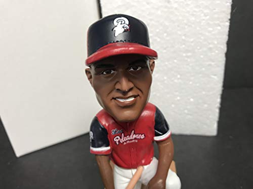 Roberto Clemente Reading Fightin Phils Phillies Limited Edition Bobblehead 1/2500 SGA