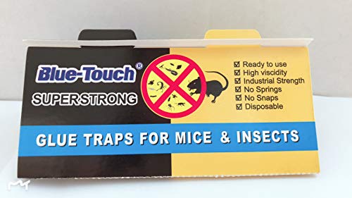 Blue-Touch Mouse Glue Traps, Peanut Butter Scented Best glue traps glue boards for mice, insects and crawling pests. 8.5x5.5 inches, 1.1 OZ – 100 Traps/Box