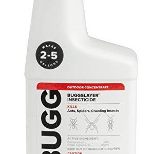 BUGGSLAYER Crawling Insect Insecticide Concentrate 8-oz. Outdoor Killer for Ants, Spiders, Mosquitoes, Ticks and Fleas.