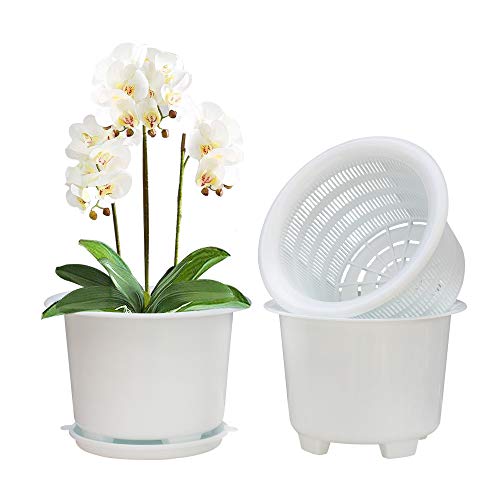 Meshpot 8 Inch Orchid Pots with Holes and Saucers,Double Layer Plastic Large Orchid Planter Pot,Flower Pots for Indoor Outdoor Flower Plants,Orchids,Herbs,Snake Plants and Succulents